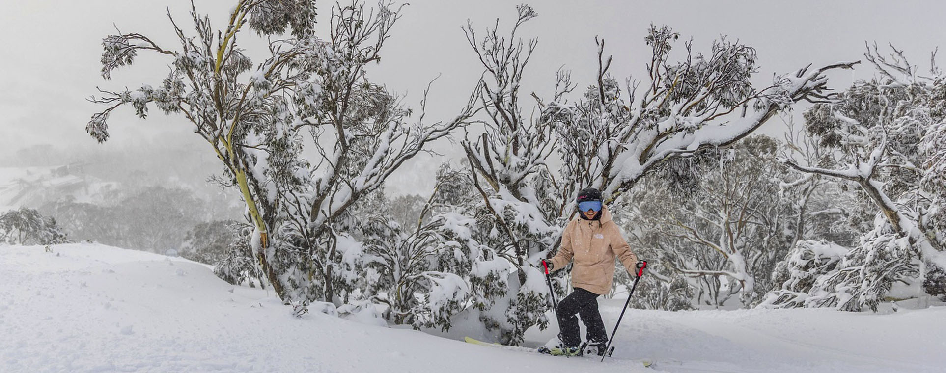 Onde tem neve na Austrália: veja opções de destinos